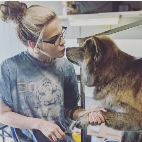 Mobile Dog Grooming | Pack&Pride